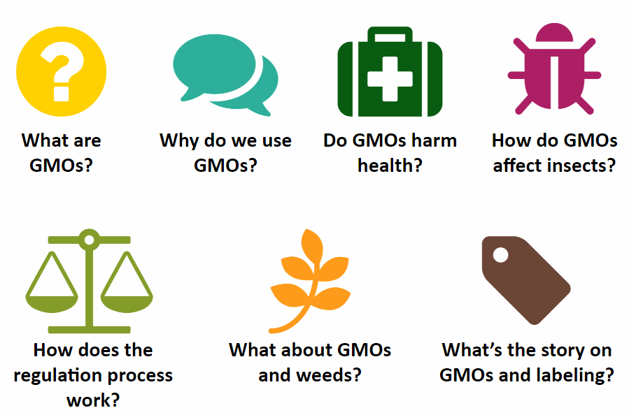 EXPLICAR OS OGMs - CiB
