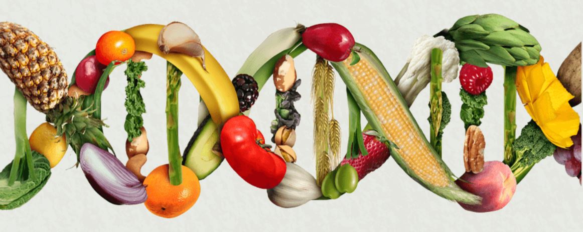 OGM | Indonésia exige rotulagem para produtos alimentares com pelo ...